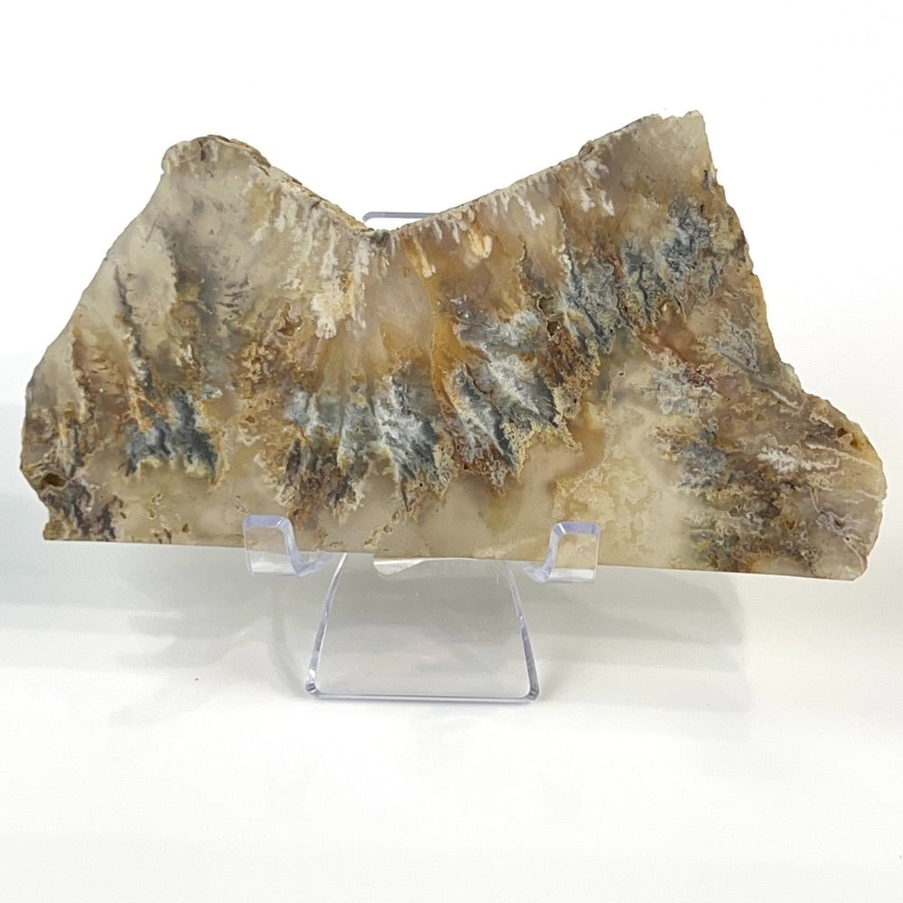 GYPA2 Graveyard Point Agate Slice Slab Display Lapidary 5 6 X 3 X 25 GYPA2 Graveyard Point Agate Slice Slab Display Lapidary 5 6 X 3 X 25
