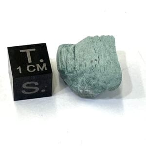 Green Chromium Petrified Wood - GeoRarities